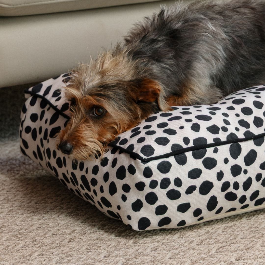 Caminha Futon Pet P 65x48. Linhão com Estampa Animal Print | Conforto e ...